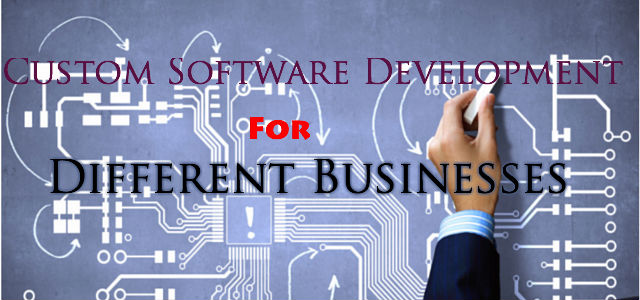 Custom Software Development Business - Synapseindia Website Blog